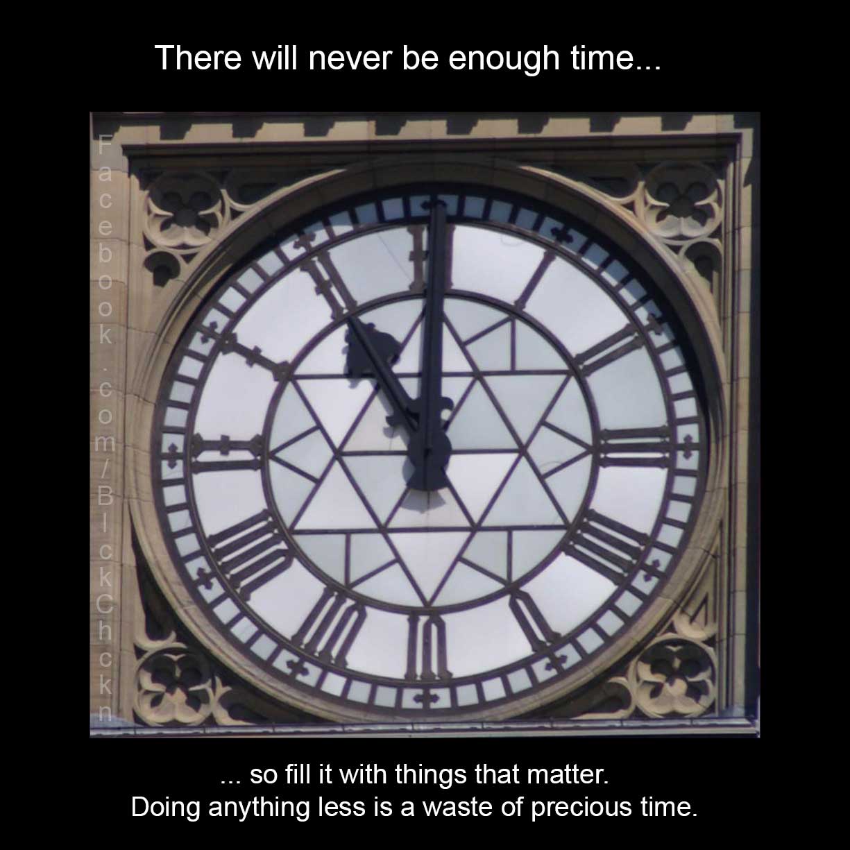 The Feed @ Blackchicken